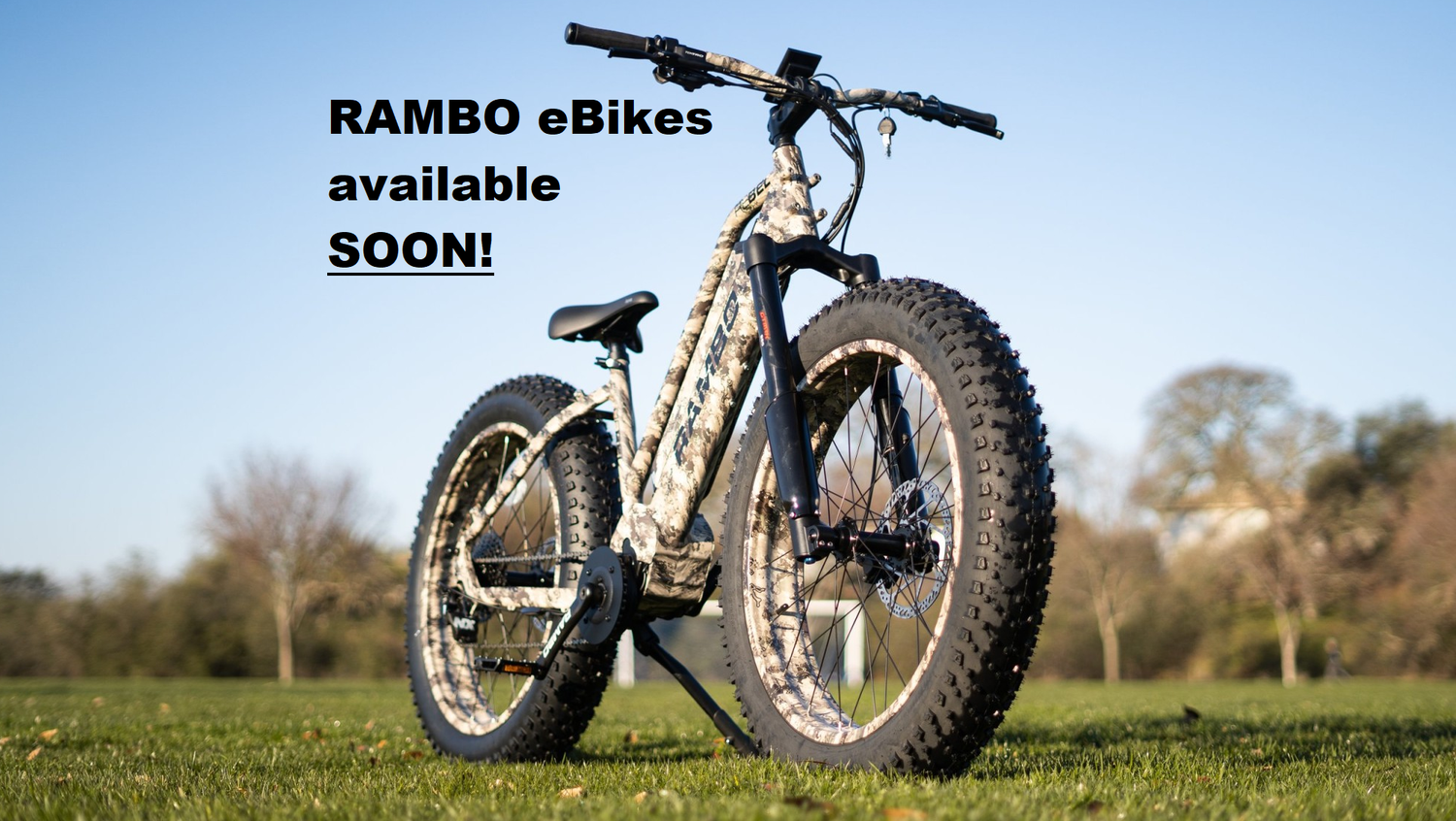 Scrambler Cycle eBikes